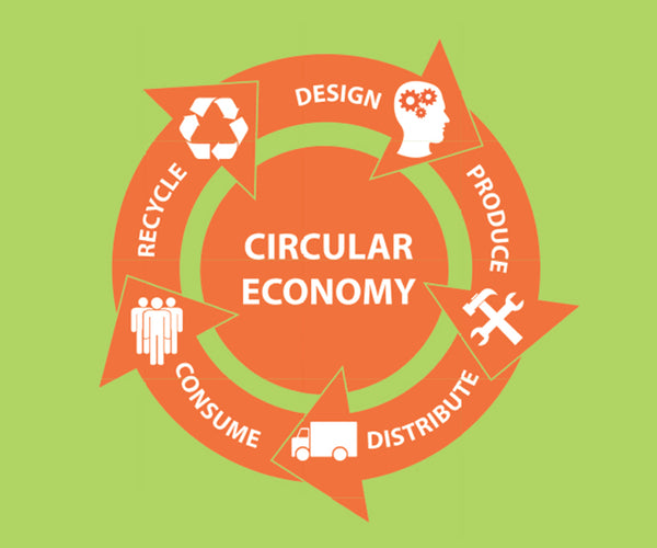 Embracing a Circular Economy for a Greener Future