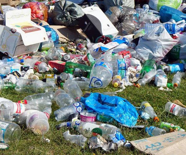 Are We Living in a Disposable Culture?