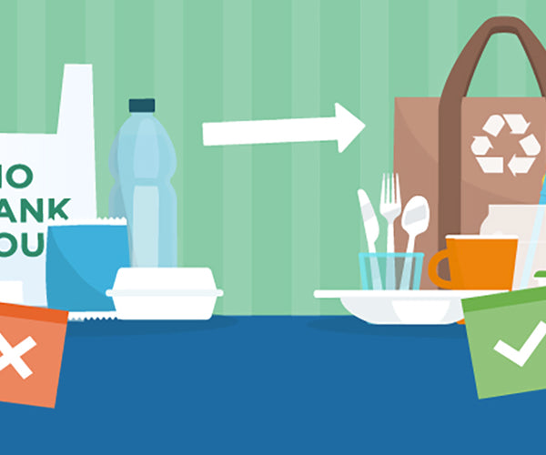 The Environmental Impacts of Single-Use Plastics